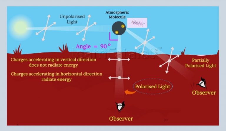 Concept of polarization of light | Class 12 Chapter 10 Wave Optics