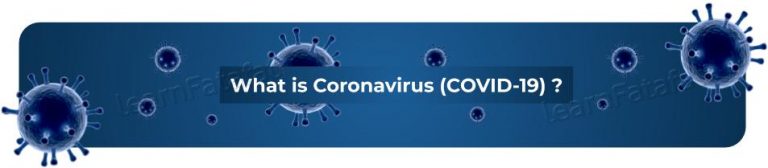 Coronavirus Disease 2019 - Everything You Need To Know About ...